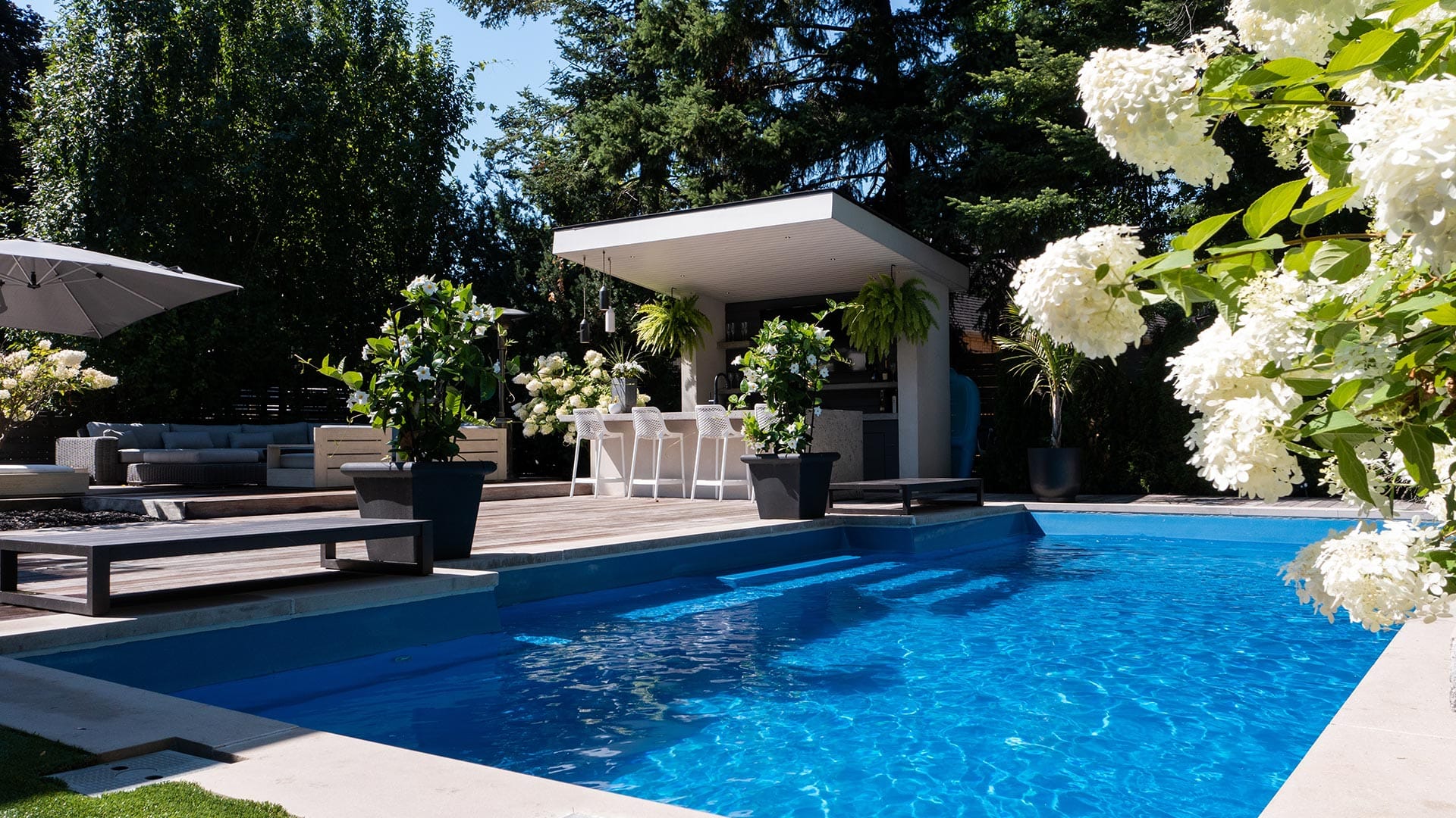 Landscaping & Patio Installer | Driftless Landscape Design